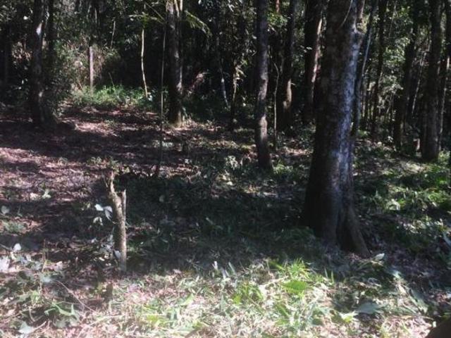 Terreno à Venda em São Bernardo do Campo