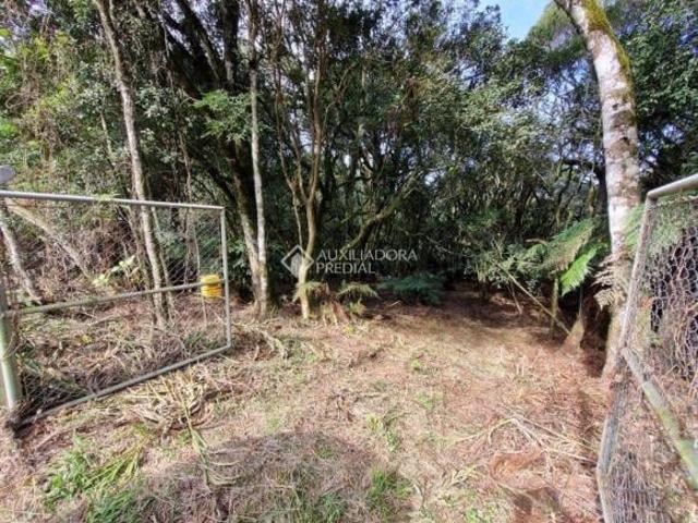Terreno à venda em São Bernardo