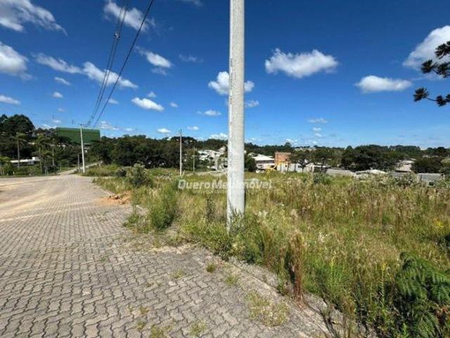 Terreno à venda em São Ciro