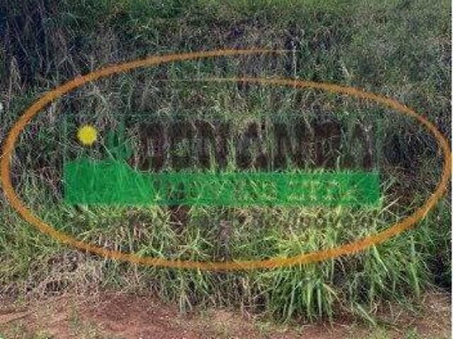 Terreno à venda em São Judas Tadeu