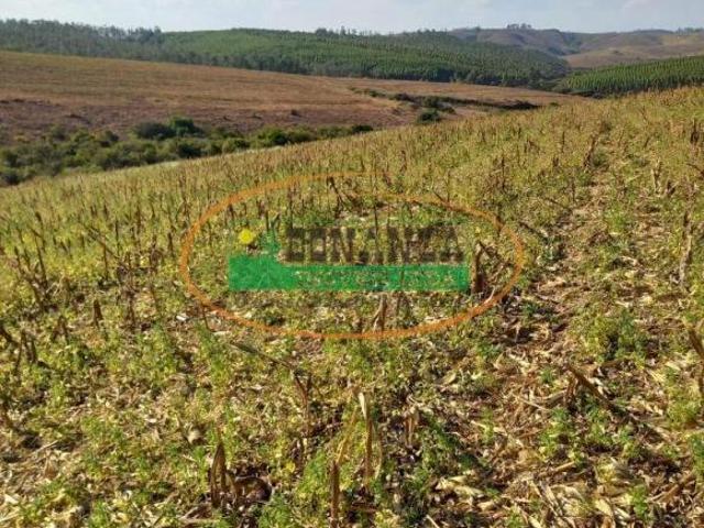 Terreno à venda em São João Del Rei