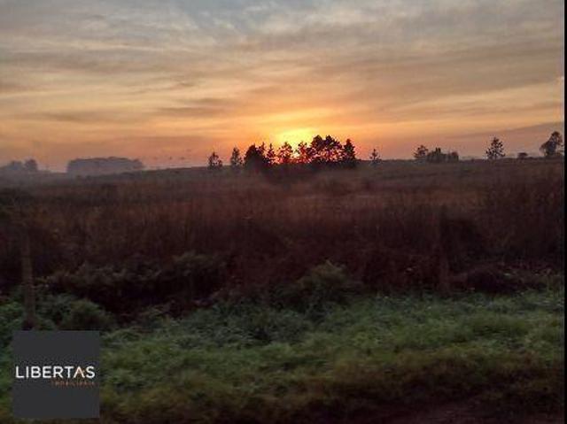 Terreno à venda em São José