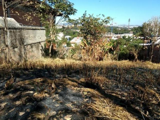 Terreno à venda em São Luiz