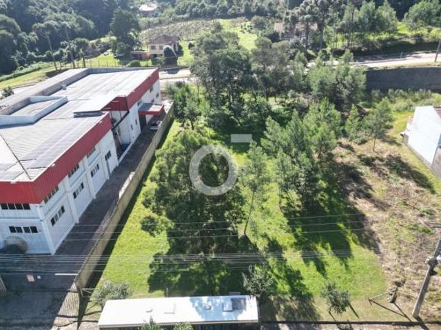Terreno à venda em São Luiz