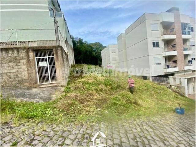 Terreno à venda em São Luiz