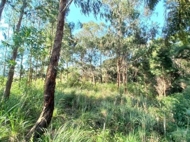 Terreno à venda em São Luiz, Caxias do Sul