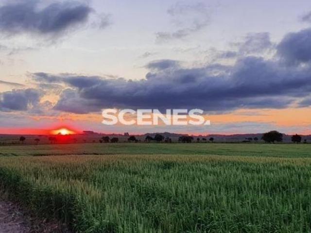 Terreno à venda em São Luiz do Purunã