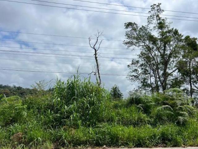 Terreno à venda em São Lourenço da Serra SP, com 6.000,00 m² de área