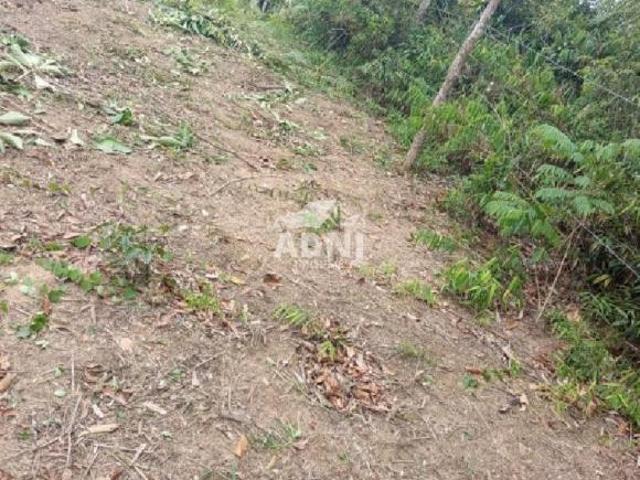 Terreno à venda em São Lourenço da Serra SP, com 1.293,94 m² de área!