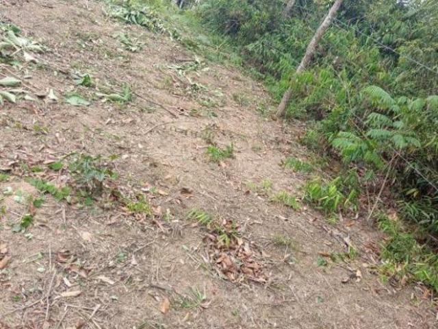 Terreno à venda em São Lourenço da Serra SP, com 1.293,94 m² de área!