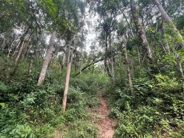 Terreno à venda em São Lourenço da Serra SP, com 1.520,00 m² de área