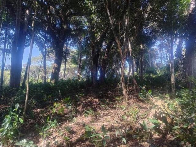 Terreno à venda em São Lourenço da Serra SP com 1.850,00 m² de área