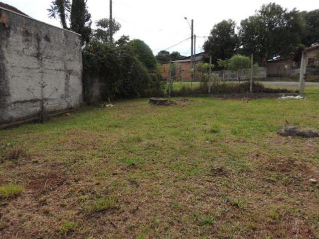 Terreno à venda em São Lourenço