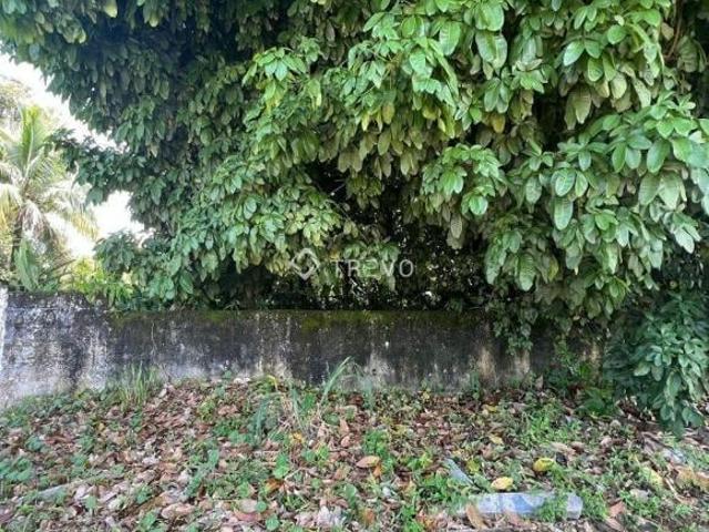 Terreno à venda em São Lourenço