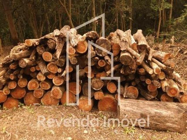 Terreno à venda em São Paulo SP, Chácara Jaraguá, com 800m² de área! Venha conferir!