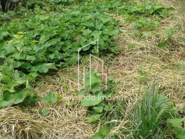 Terreno à venda em São Paulo SP, Vila Nova Mazzei: 1 quarto, 1 banheiro, 2 vagas de garagem, 204m²