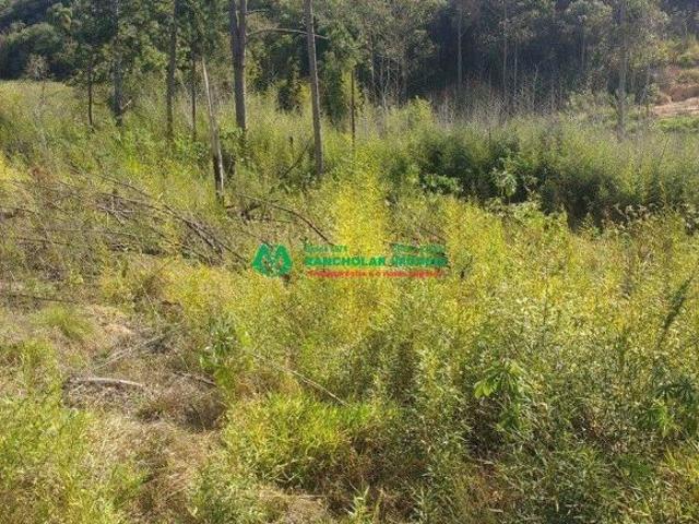 Terreno à venda em São Roque