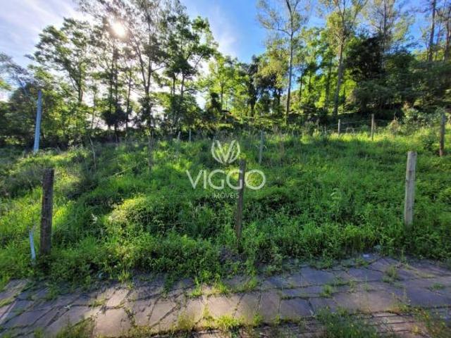 Terreno à venda em São Victor Cohab