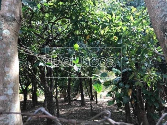 Terreno à venda em Sousas, Campinas