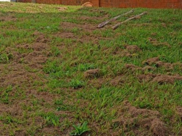 Terreno à venda em Sorocaba, Loteamento Dinorá Rosa, com 150 m², Condomínio Horto Florestal