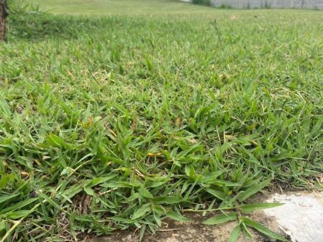 Terreno à venda em Sorocaba, Parque Reserva Fazenda Imperial, Condomínio Fazenda Imperial
