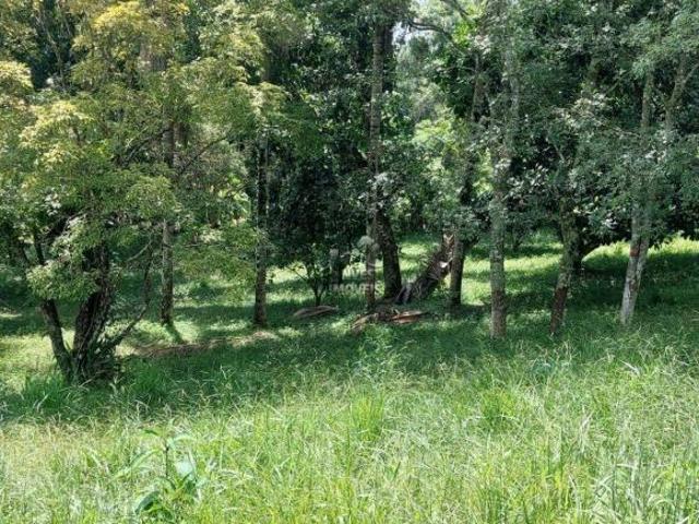 Terreno à venda em Sorocamirim
