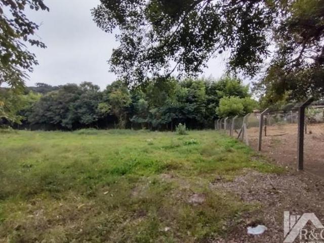 Terreno à venda em Salgado Filho
