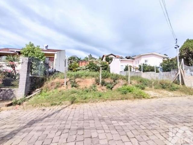 Terreno à venda em Salgado Filho