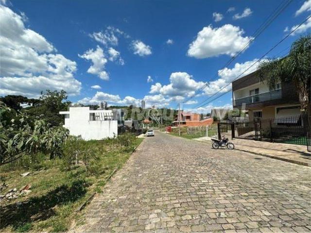 Terreno à venda em Salgado Filho