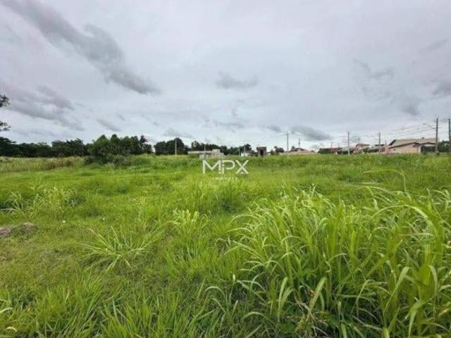 Terreno à venda em Saltinho, Nova Saltinho, com 175 m²