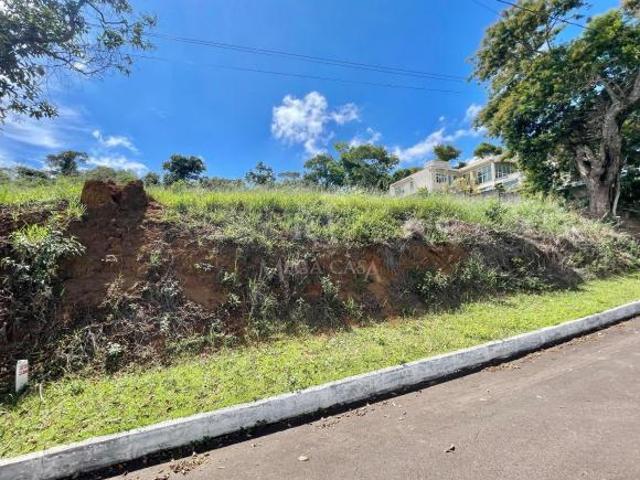 terreno à venda em Salvaterra