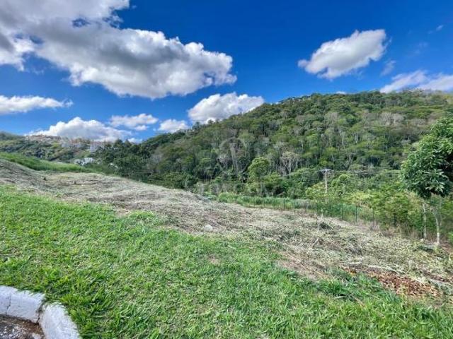 terreno à venda em Salvaterra