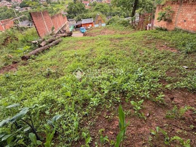 Terreno à venda em Santo André