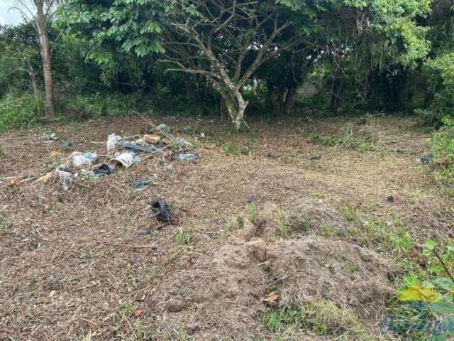 Terreno à venda em Santa Cruz