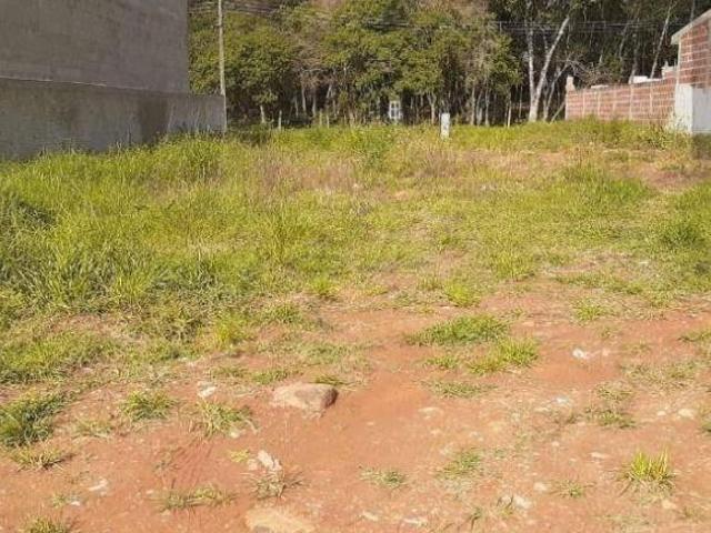 Terreno a venda em Santa Felicidade