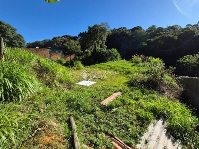 Terreno à venda em Santa Felicidade