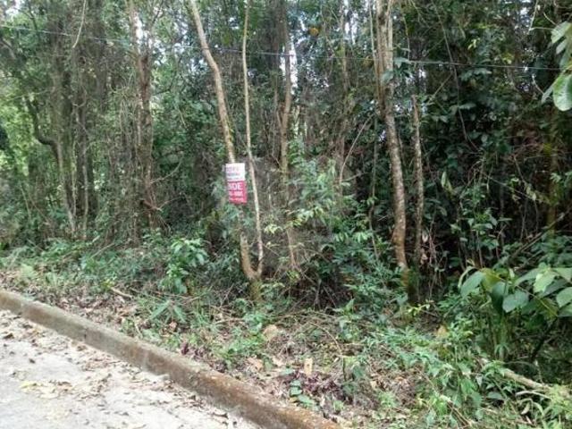 Terreno à venda em Santa inês SP