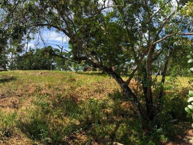 Terreno à venda em Santa Isabel