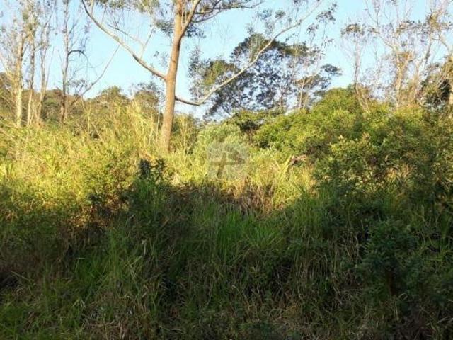 Terreno à venda em Santa Luzia
