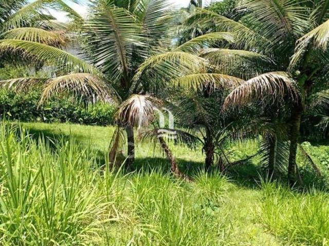 Terreno à venda em Santa Rita