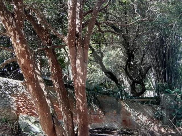Terreno à venda em Santa teresinha SP