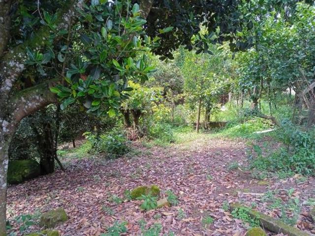 TERRENO A VENDA EM SANTANA DE PARNAIBA