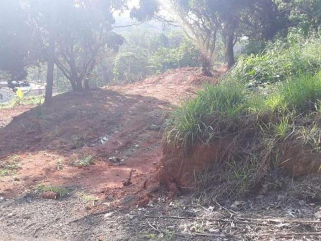 Terreno à venda em Santana de Parnaíba, Jardim Professor Benoá, Não Está Em Cond