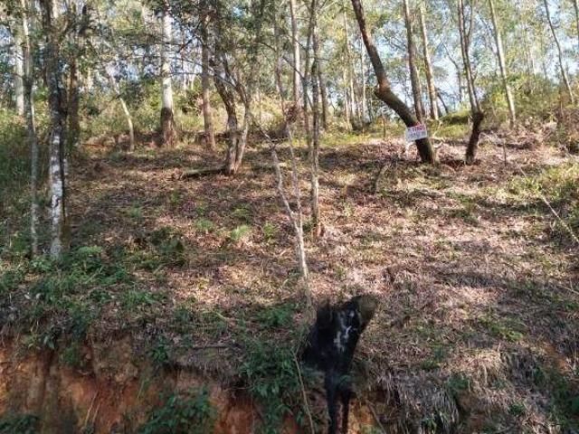 Terreno à venda em Santana de Parnaíba, Parque Alvorada