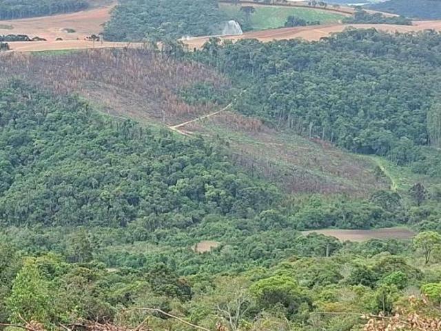 Terreno à Venda em Senador Amaral / MG