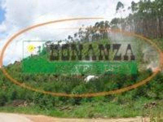 Terreno à venda em Senhora de Oliveira