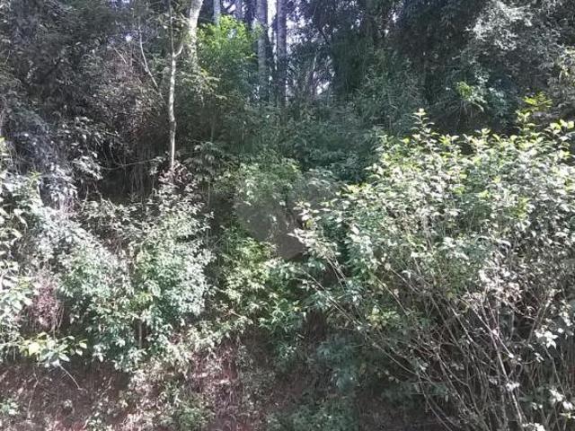 Terreno à venda em Serra da cantareira SP