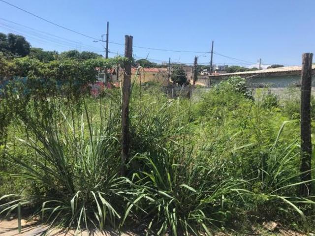 Terreno à venda em Serrano
