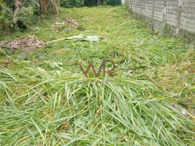 Terreno à venda em Sertão da Quina