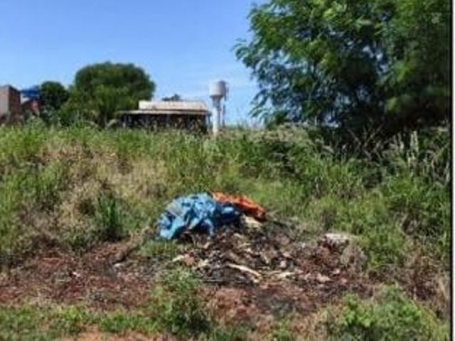 Terreno à venda em Sertaneja